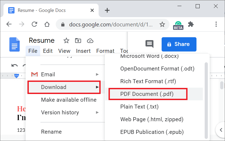Google PDF 