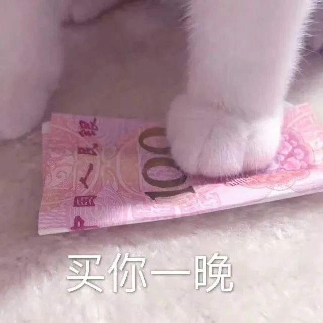 买你一晚表情包 精选抖音爆火表情 我还有机会吗 表情联萌